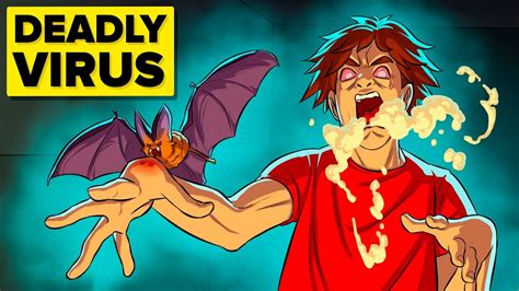 What Happens If You Get Rabies ClassX