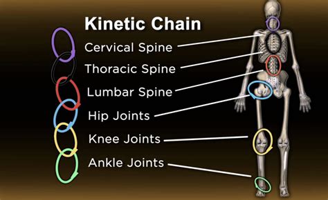 열린 사슬open Kinetic Chain Exercise과 닫힌 사슬 운동closed Kinetic Chain Exercise