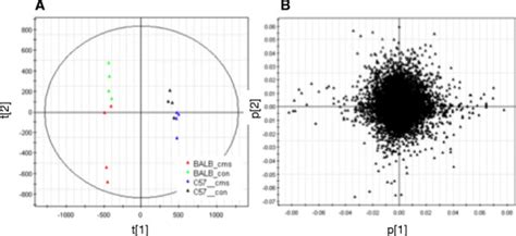 Scores And Loading Plots PCA Scores And Loadings Plots For The First Download Scientific