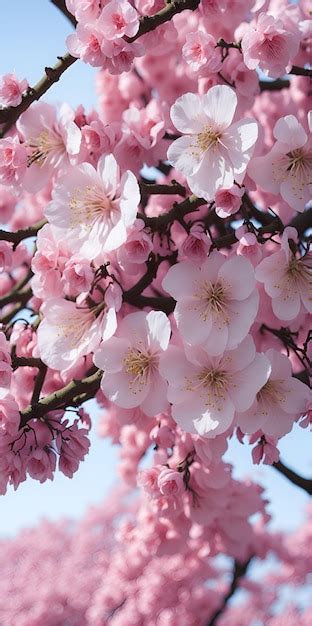 Premium AI Image A Tree With Pink Flowers In The Spring