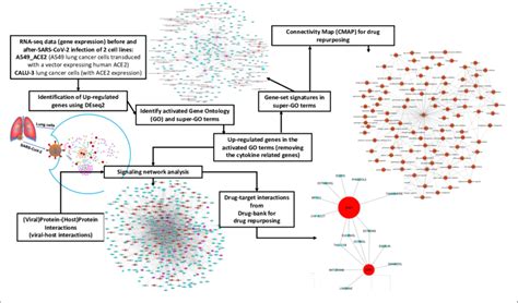 overview of the proposed methodology download scientific diagram