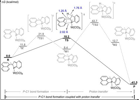 Free Energy Profiles For The Possible Reaction Pathways Grey For