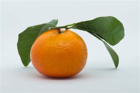 Premium Photo Close Up Of Orange Fruit Against White Background