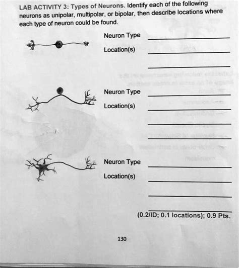 3 Neuron Types