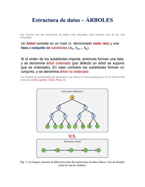 Ed 11 Árboles Estructura De Datos Arboles Warning Tt Undefined