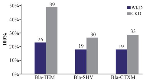 Antibiotic Susceptibility Patterns And Prevalence Of Some Extended