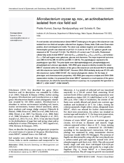 Pdf Microbacterium Oryzae Sp Nov An Actinobacterium Isolated From