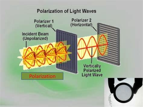 Polarization And Its Application