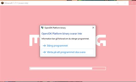 please help me with the java tm platform se binary has stopped working