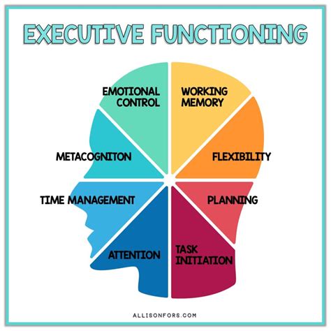 🌟 Understanding Executive Function Cognitive Catalyst