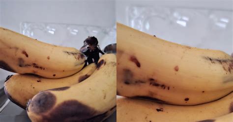 Samsung Galaxy A First Impressions With Knox Security Camera