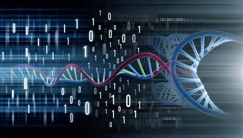 What Are Genetic Algorithms In Evolutionary Computation Algorithm Examples