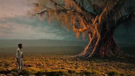 The Brave Ones Ending Explained Does Ntsiki Survive The Car Accident