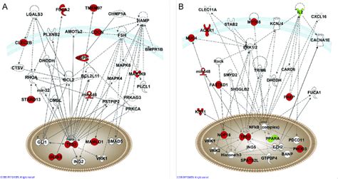 A Gene Interaction Network Of Mutated Genes In The Group Of Tnbc Download Scientific Diagram
