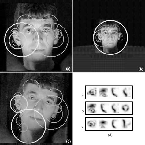 Demonstration Of The Invariance To A Translation B Scale And C Download Scientific