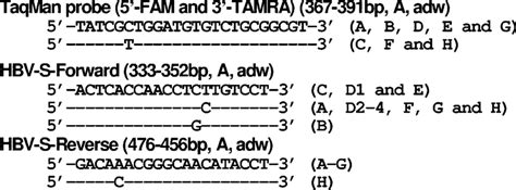 Comparison Of Real Time Pcr Taqman Probe And Primer Sequences With Download Scientific Diagram
