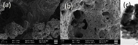 Xrd Pattern Of Prepared Cuszns Nanocomposites Catalyst Surface Download Scientific Diagram