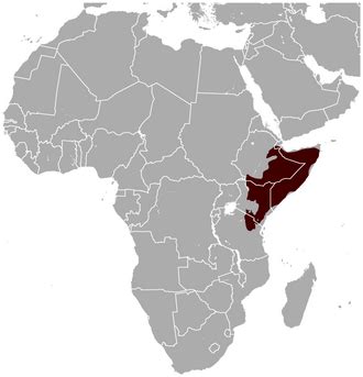 Garanuug Wikipedia