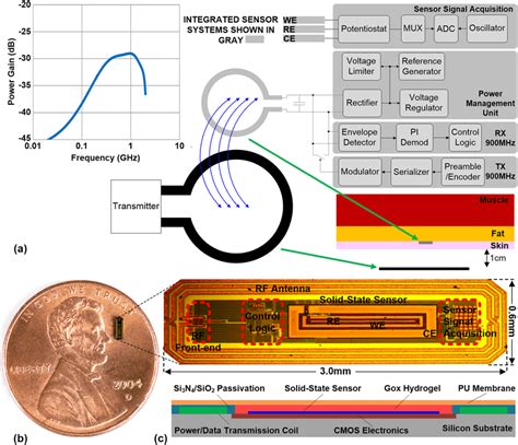A Block Diagram Of The Ims Wireless Glucose Sensing System Showing Download Scientific