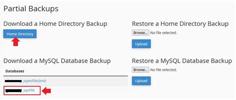 how to download and restore website backup in cpanel
