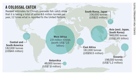 Up To 27 Of Americas Imported Tuna Is Caught Illegally