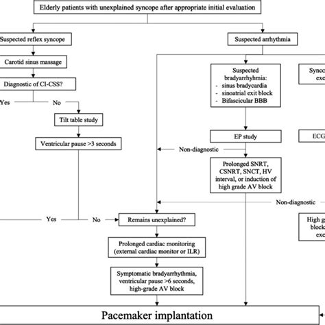 Sinus Node Recovery Time Snrt Normal Sinus Node Response Following A Download Scientific