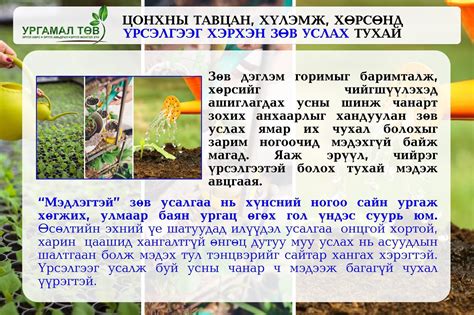 ‼‼‼ Асуулт 💦 Үрсэлгээний усалгааг Экстра Ургамал Төв