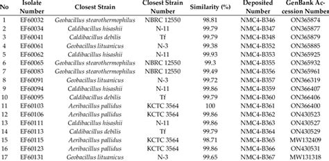 Taxonomic Identification Of The Isolates Based On 16s Rrna Gene Sequences Download Scientific