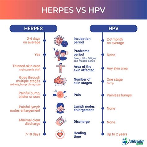 Herpes Vs Hpv Std Center Ny
