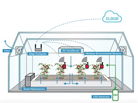 How The Iot Is Transforming The Future Of Agriculture Cassia Networks