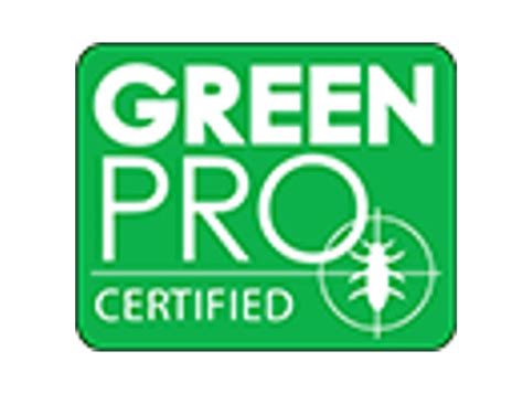 Do Mice Hibernate Where Rodents Go During Winter