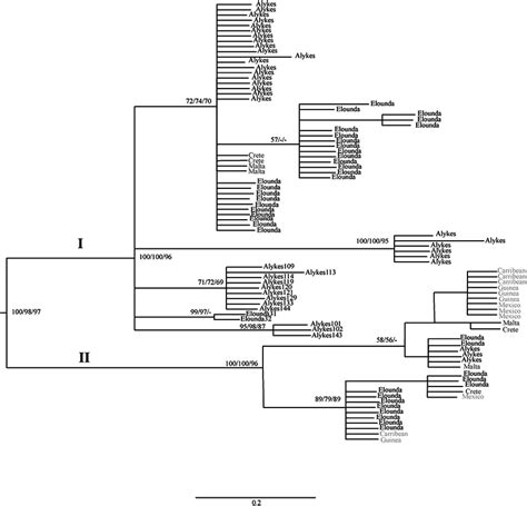 Consensus Tree Constructed Using Bayesian Inference For The Coi Marker