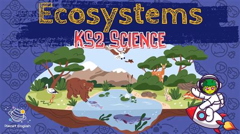 Ecosystems Ks2 Science Stem And Beyond Youtube