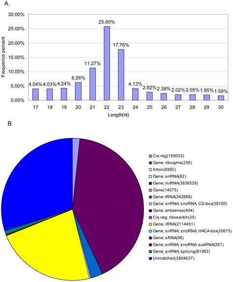 A Length Distribution Of Sequenced Small Rnas B Clean Reads Were Download Scientific Diagram