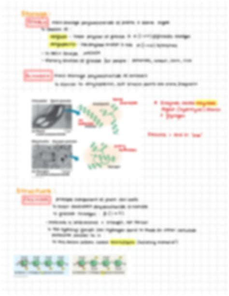 Solution Structure And Function Of Large Biological Molecules Notes
