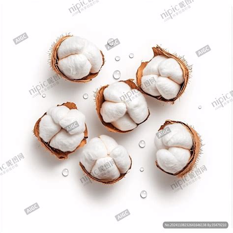 Ai创作图手剥山核桃插画 手绘坚果png 手绘榛子夏威夷果 澳洲坚果插画 夏威夷果插画 扇贝图片素材下载 海胆蒸蛋插画 夏威夷果手绘插画 粉丝扇贝调料包装插画 手绘夏威夷果核桃 玫瑰奶枣插画