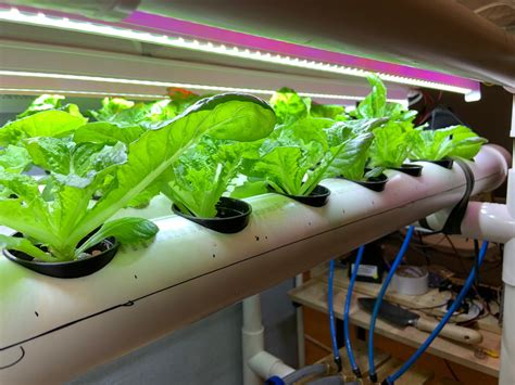 5 수경재배 스마트팜 1