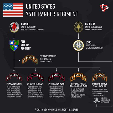 75th Ranger Regiment Elite Warriors Leading The Way Grey Dynamics