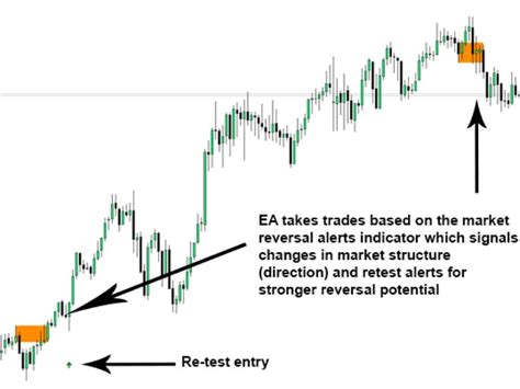 Your Efficient Ea Algorithm For Mt4 Or Tradingview Upwork