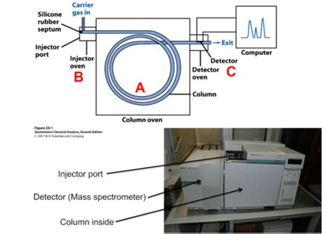 Gas Chromatography Flashcards Quizlet