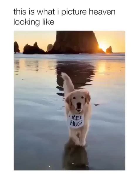 I Need A Break Album On Imgur