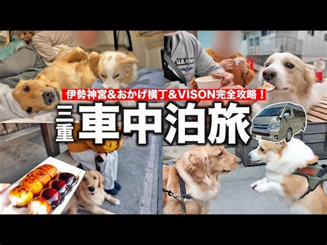 【三重2泊3日】三重ってめちゃくちゃ面白いじゃん！伊勢神宮andおかげ横丁andvison完全攻略【ハイエースキャンピングカー】 もふたび〜犬と旅