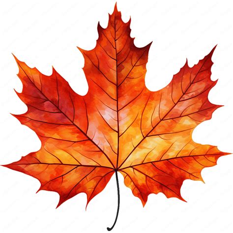 Fall Maple Leaf