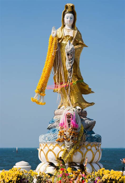 普陀山在东海为什么称南海观世音菩萨 道场