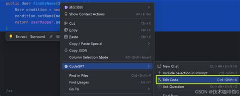 二、ide集成deepseek保姆级教学 使用篇 codegpt接入deepseek csdn博客
