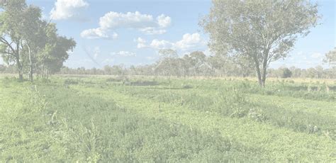 Survey To Understand Soil Knowledge Extension Gaps And Opportunities For Better Managing