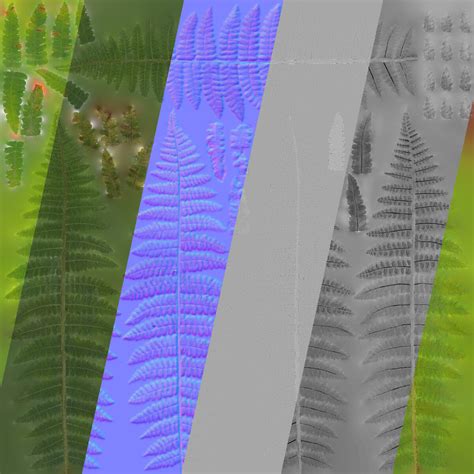 Artstation Fern Dryopteridaceae Vfx Grace Game Assets