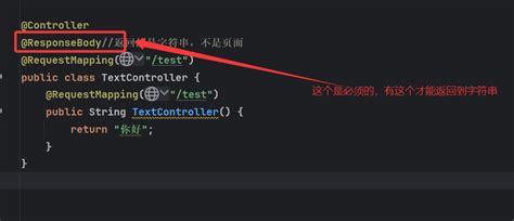 后端返回前端是数据还是页面？接口body为什么返回页面 Csdn博客