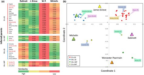 Inferred Parentage Of The Girls A Heat Map Of Similarity Between Download Scientific