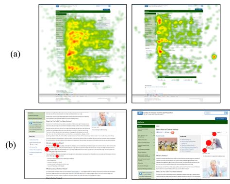 Examples Of Heat Maps And Gaze Diagrams Collected In This Study A Download Scientific